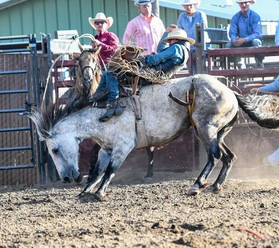 Take on the Tomah Event of the Summer: The Monroe County Fair - Visit ...