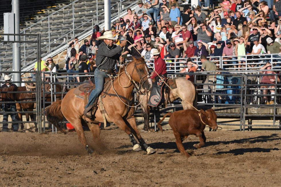 Home - Visit Tomah Wisconsin
