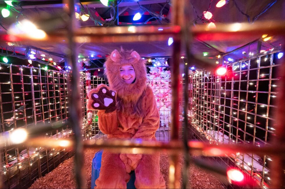 Home - Visit Tomah Wisconsin